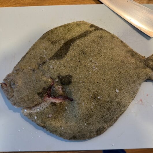 Grilled Turbot Portuguese Style: A Guide to Cooking This Exquisite Fish ...