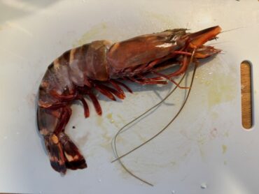 Grilled Tiger Prawns, Cervejaria Style: A Taste of Coastal Portugal at ...