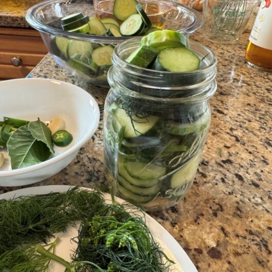 Easy Homemade Pickles: Making the Perfect Pickle - Savour the Trip